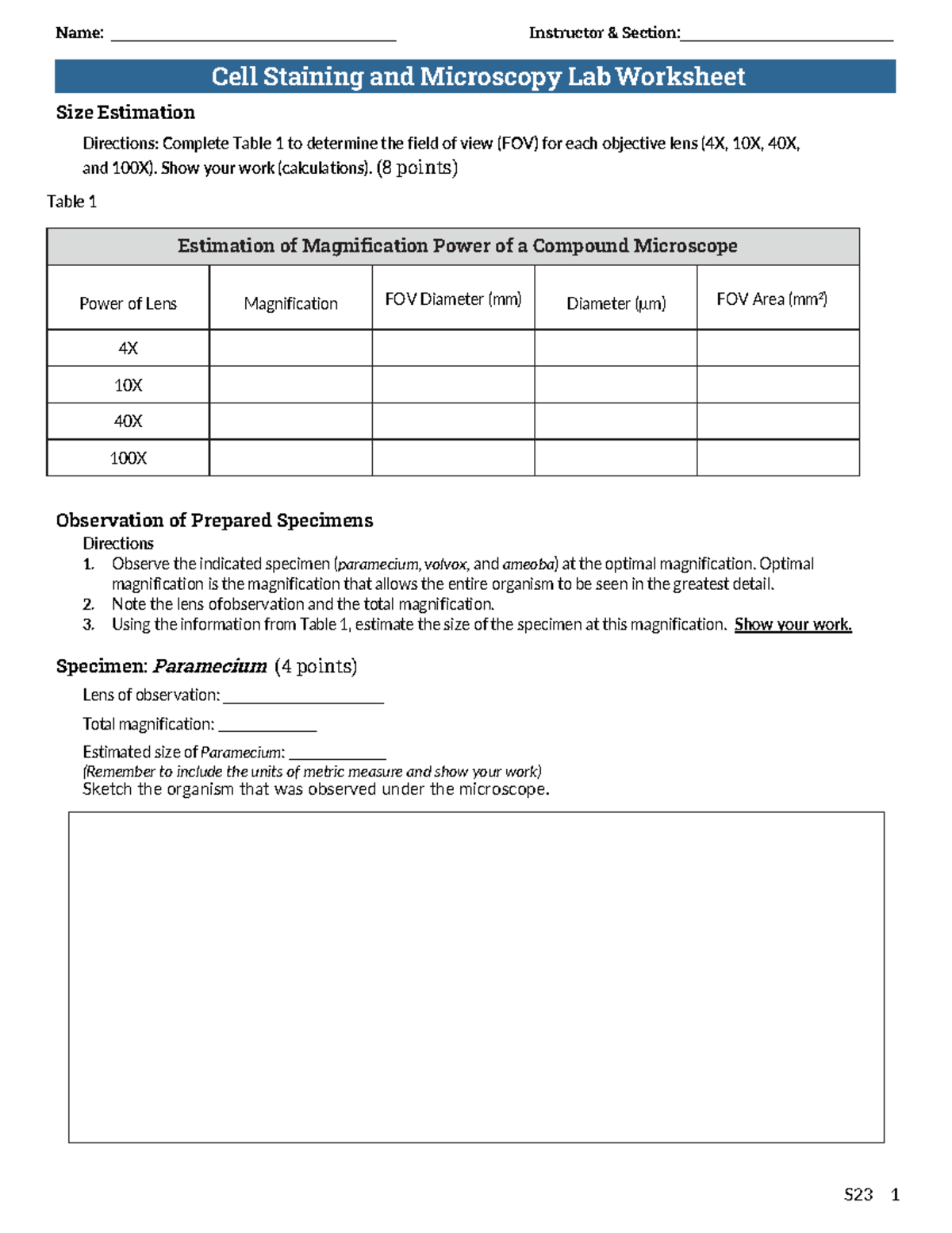 S23 Cell Staining and Microscopy Worksheet - Cell Staining and ...