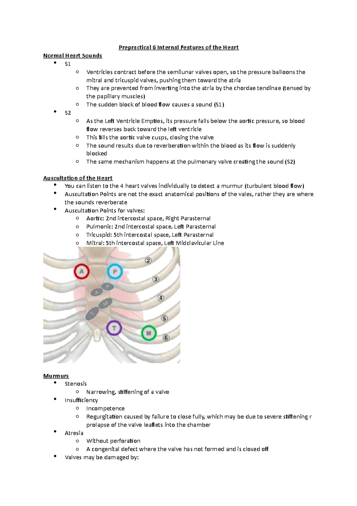 Prepractical 6 Internal Features of the Heart - MED-MB-S - QUB - Studocu
