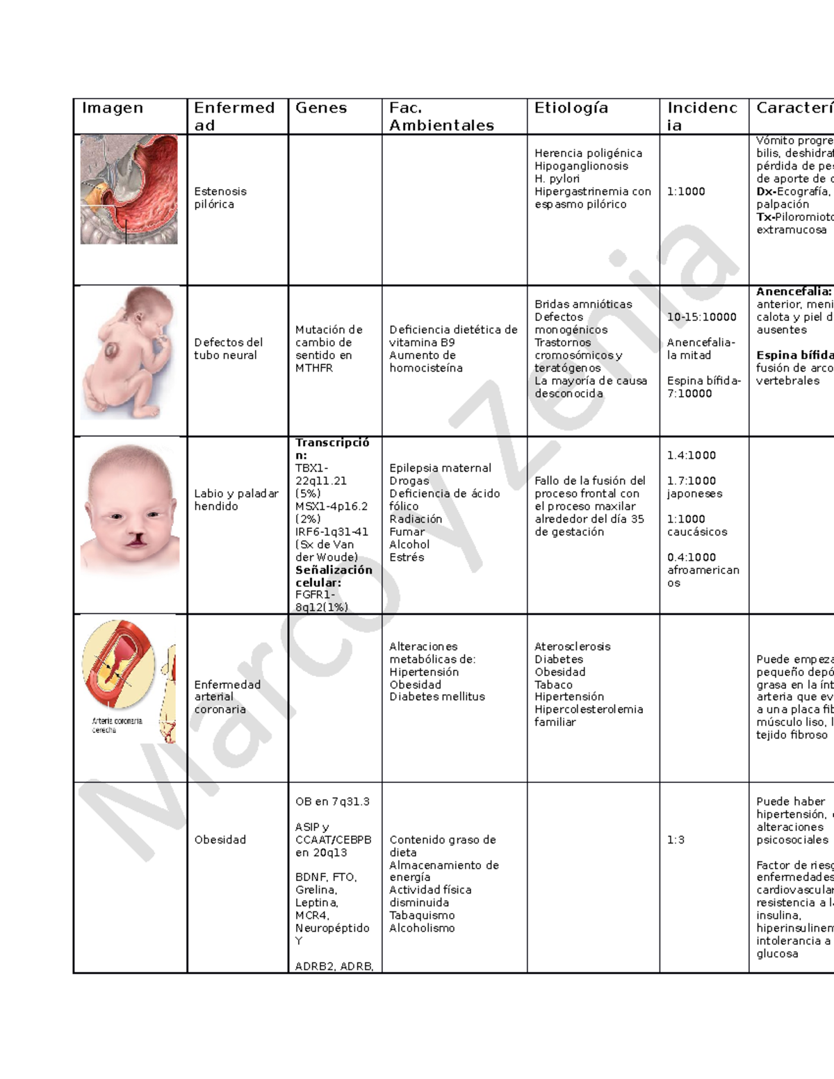 Enfermedades multifactoriales - Imagen Enfermed ad Genes Fac ...
