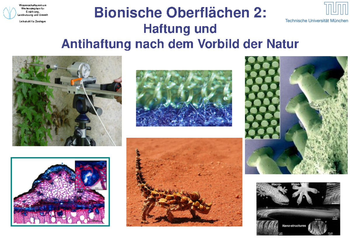 Bionik 4 - SS2020 - Bionische Oberflächen 2: Haftung und Antihaftung ...