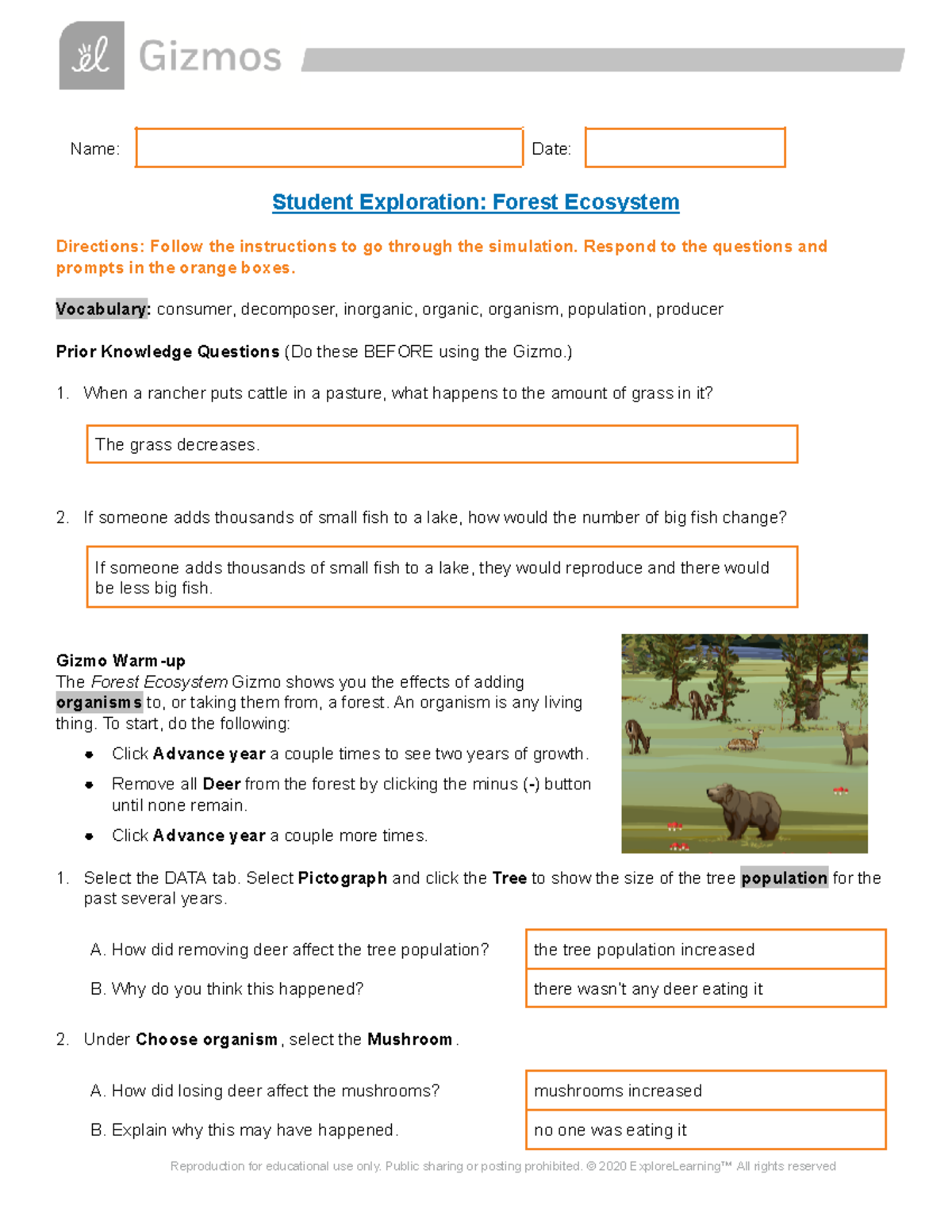 Copy of Copy of Forest Ecosystem SE - Name: Date: Student Exploration ...