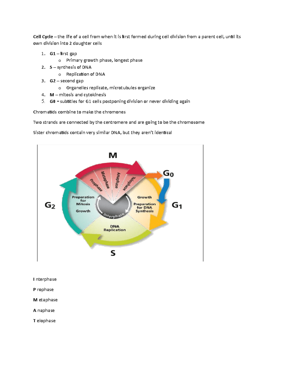 Ch 16 - Mitosis & Cell Cycle - Cell Cycle – the life of a cell from ...