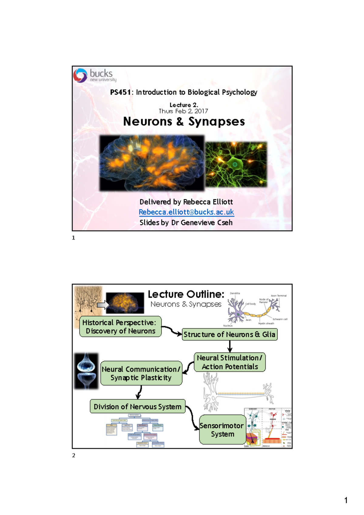 Lecture 2 - Neurons and Synapses - Lecture 2. Thurs Feb 2, 2017 Neurons & Synapses Delivered by ...