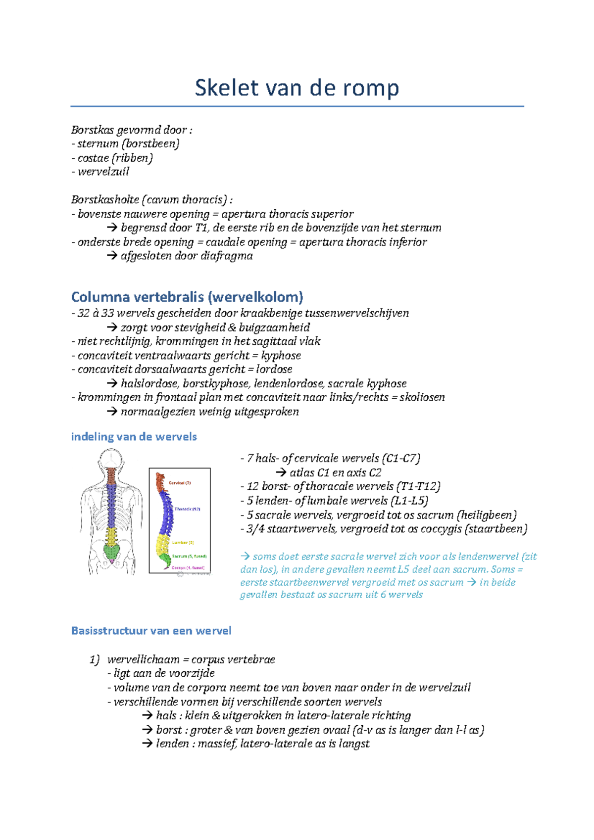 Skelet van de romp - osteologie - Skelet van de romp Borstkas gevormd ...
