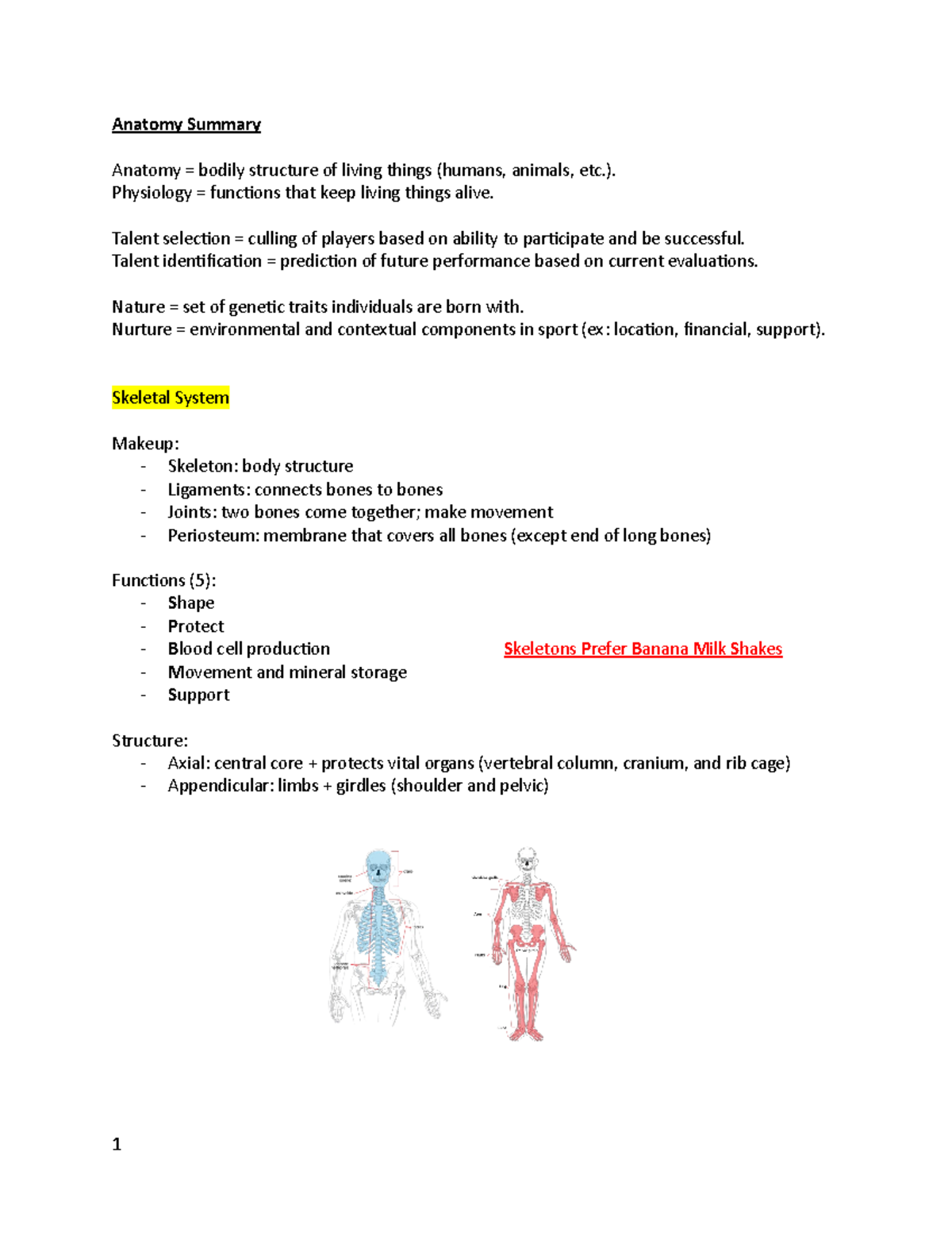Anatomy and Physiology Summary - Anatomy Summary Anatomy = bodily ...
