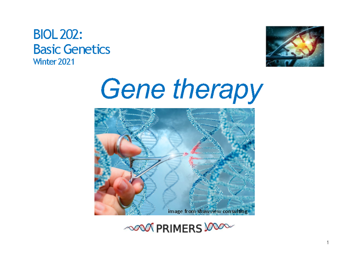 Primers gene therapy - Gene therapy BIOL 202: Basic Genetics Winter ...