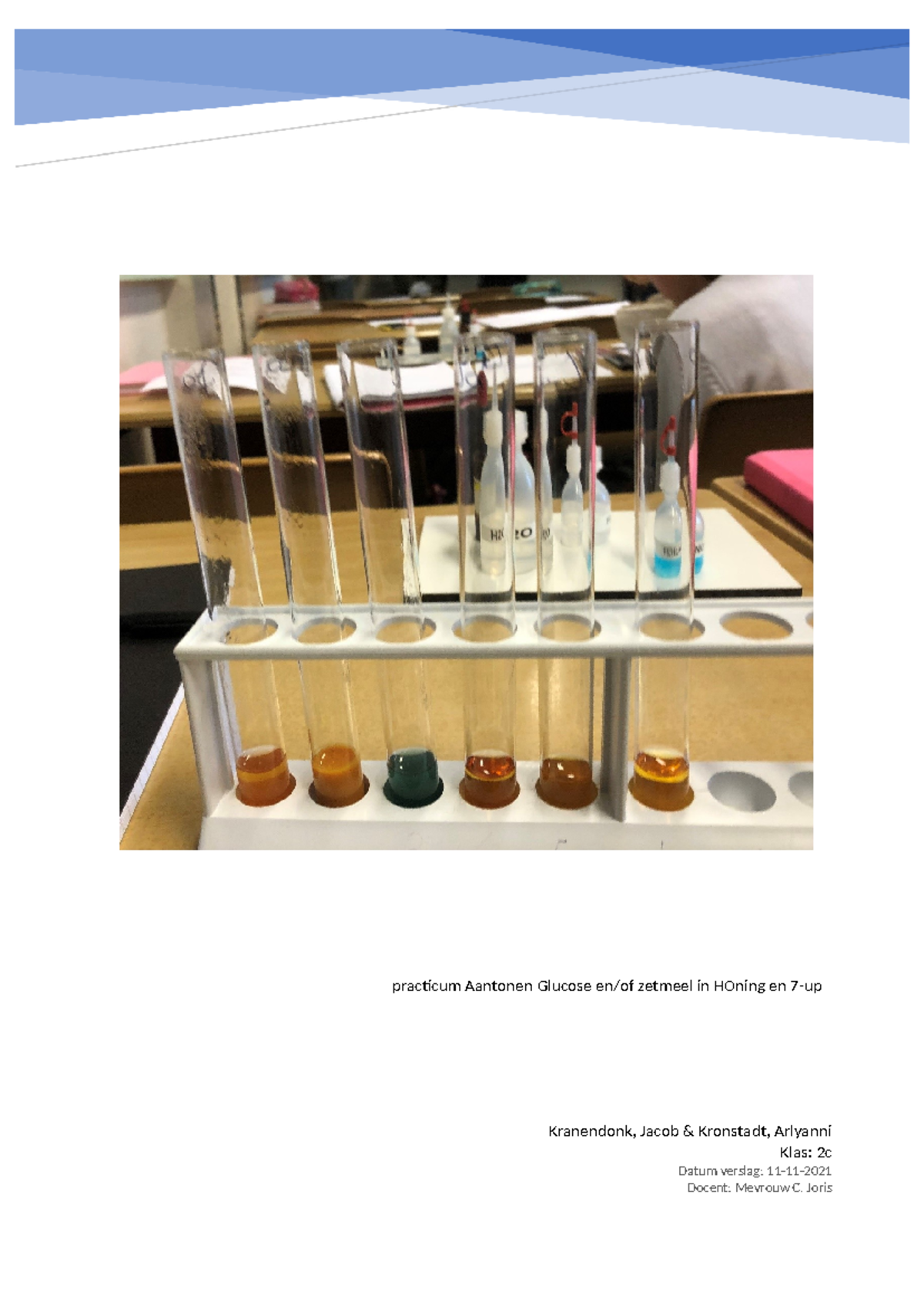 Verslag biologie voedingsstoffen - practicum Aantonen Glucose en/of ...