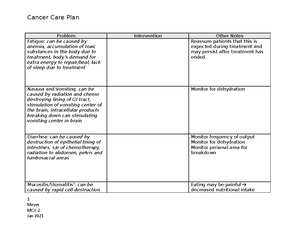 MCA 2 Care Plan week 4 - MCA-2 Clinicals Care Plan week 4 - STUDENT ...