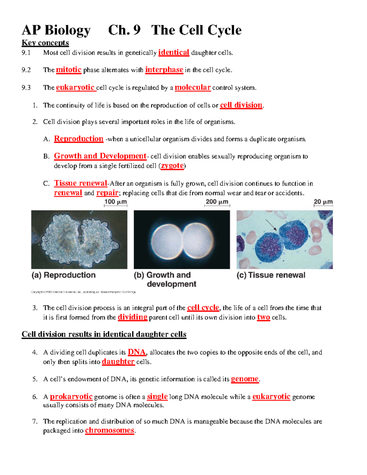 Ch 09 Key The Cell Cycle AP Biology Ch 9 The Cell Cycle Key ch-09-key-the-cell-cycle-ap-biology-ch-9-the-cell-cycle-key