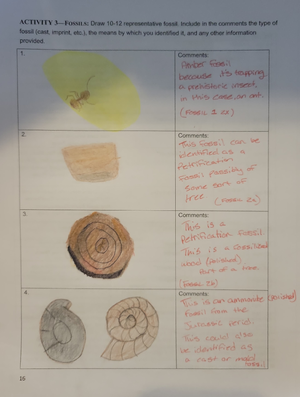 Paleontology Fossil lab - Paleontology/Fossil lab assignment: Activity ...