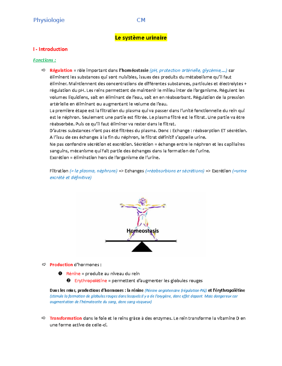 Physiologie - Le système urinaire - Le système urinaire I ...