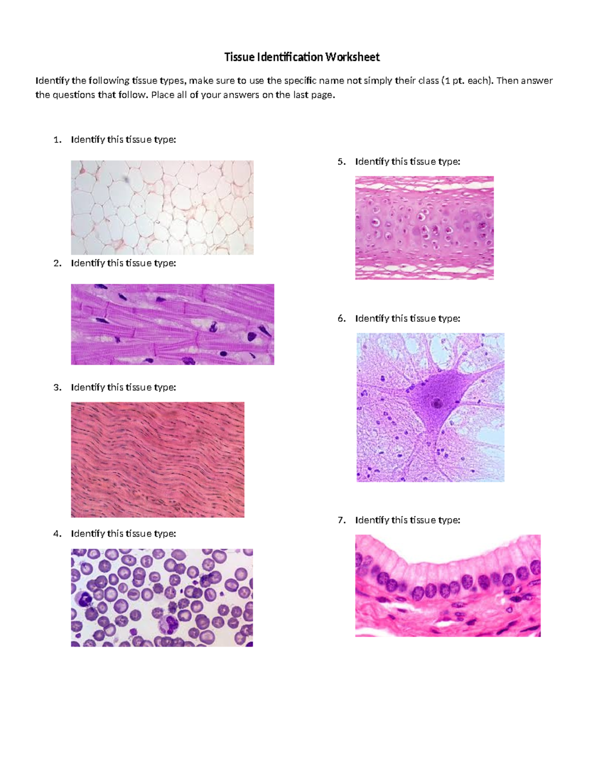 Histology ID - Tissue Identification Worksheet Identify the following ...