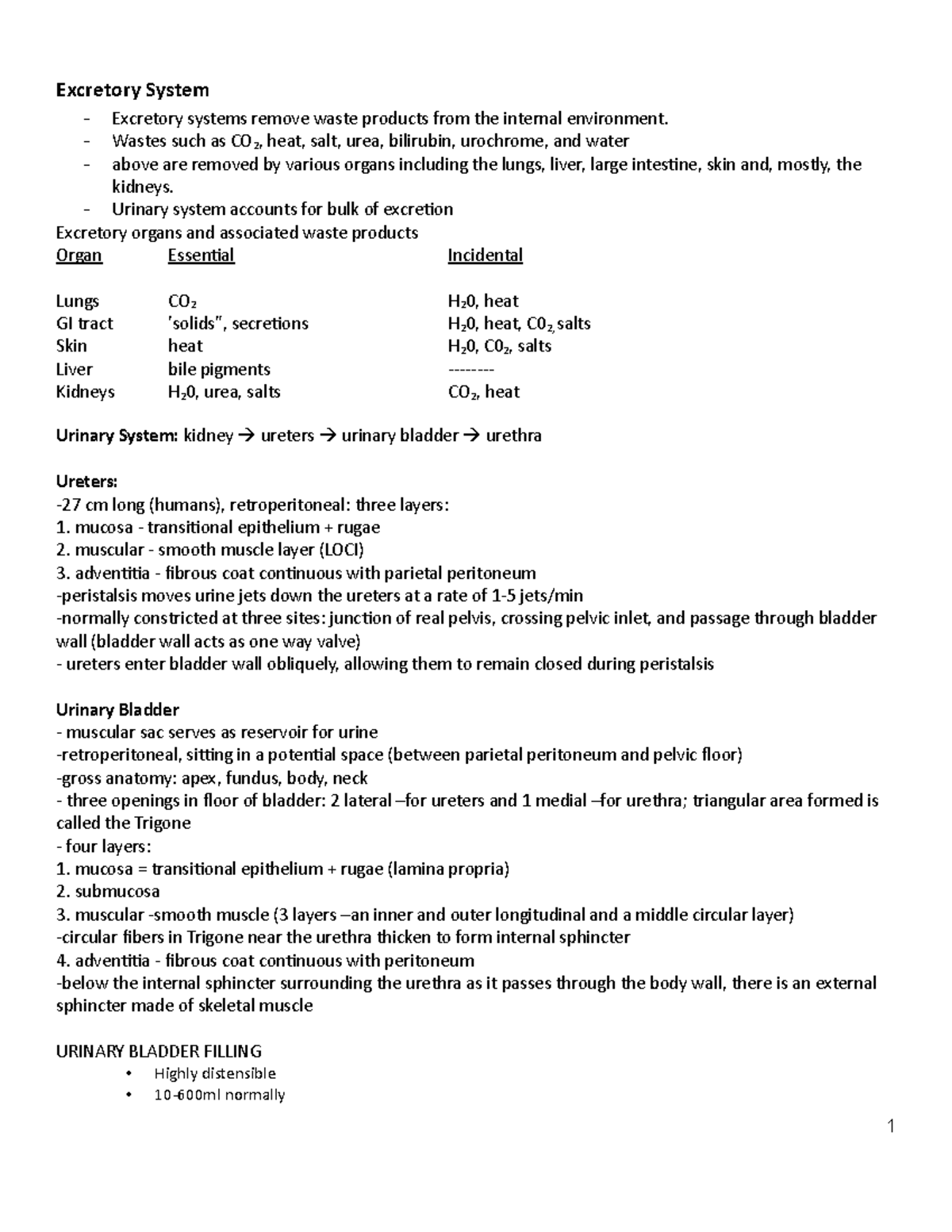 Excretory System quiz - quiz work anatomy study guide. answers homework ...