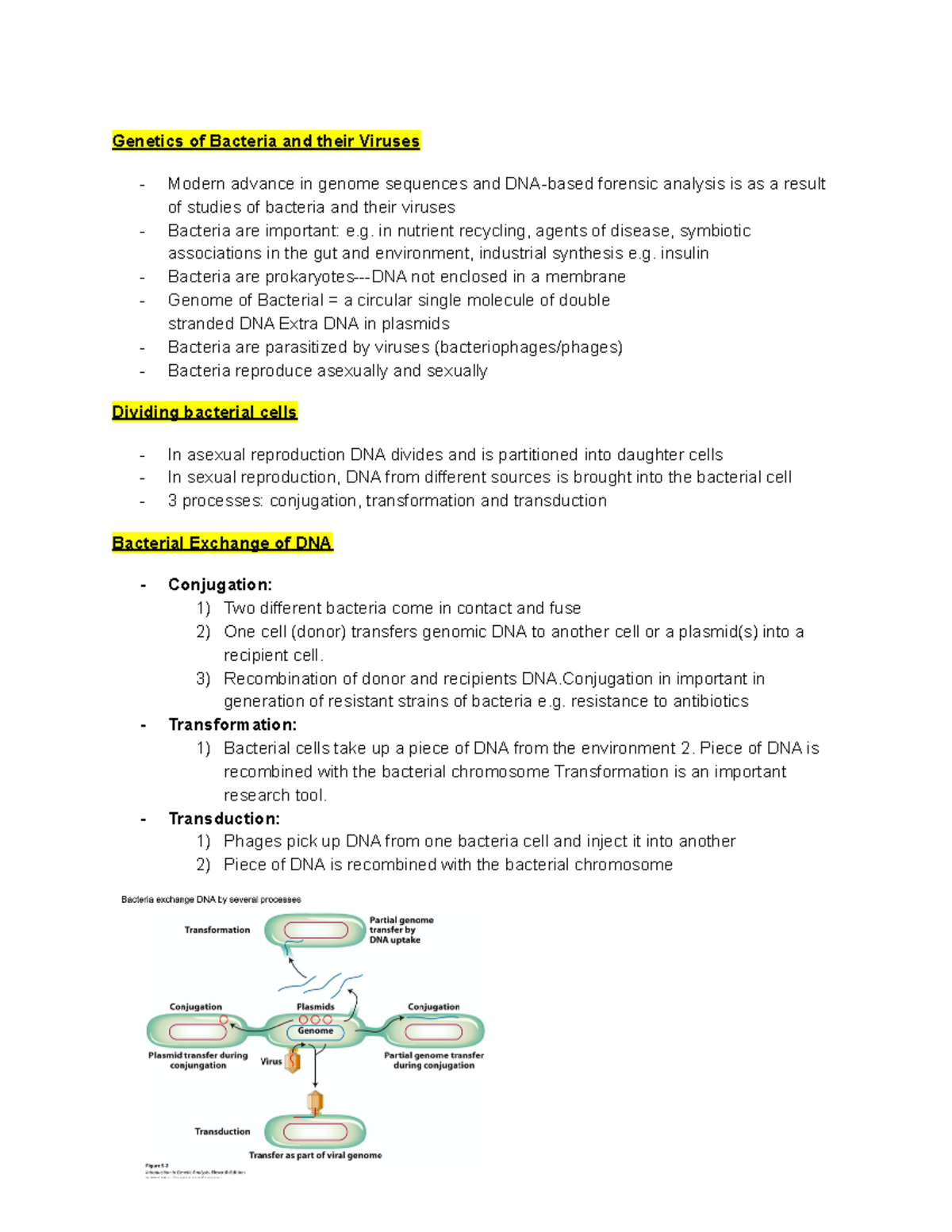 Lec. 9 Genetics of Bacteria and their Viruses (Genetics 102) - Genetics ...
