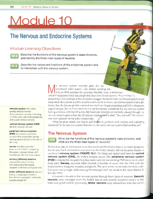 AP Lit Study Guide - AP practice - AP Lit this year is a test of how ...