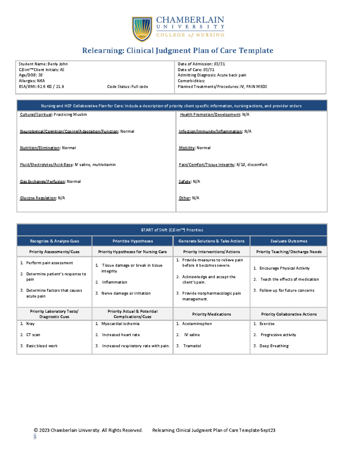 NR226 Plan of Care 1 - course work - © 2023 Chamberlain University. All ...