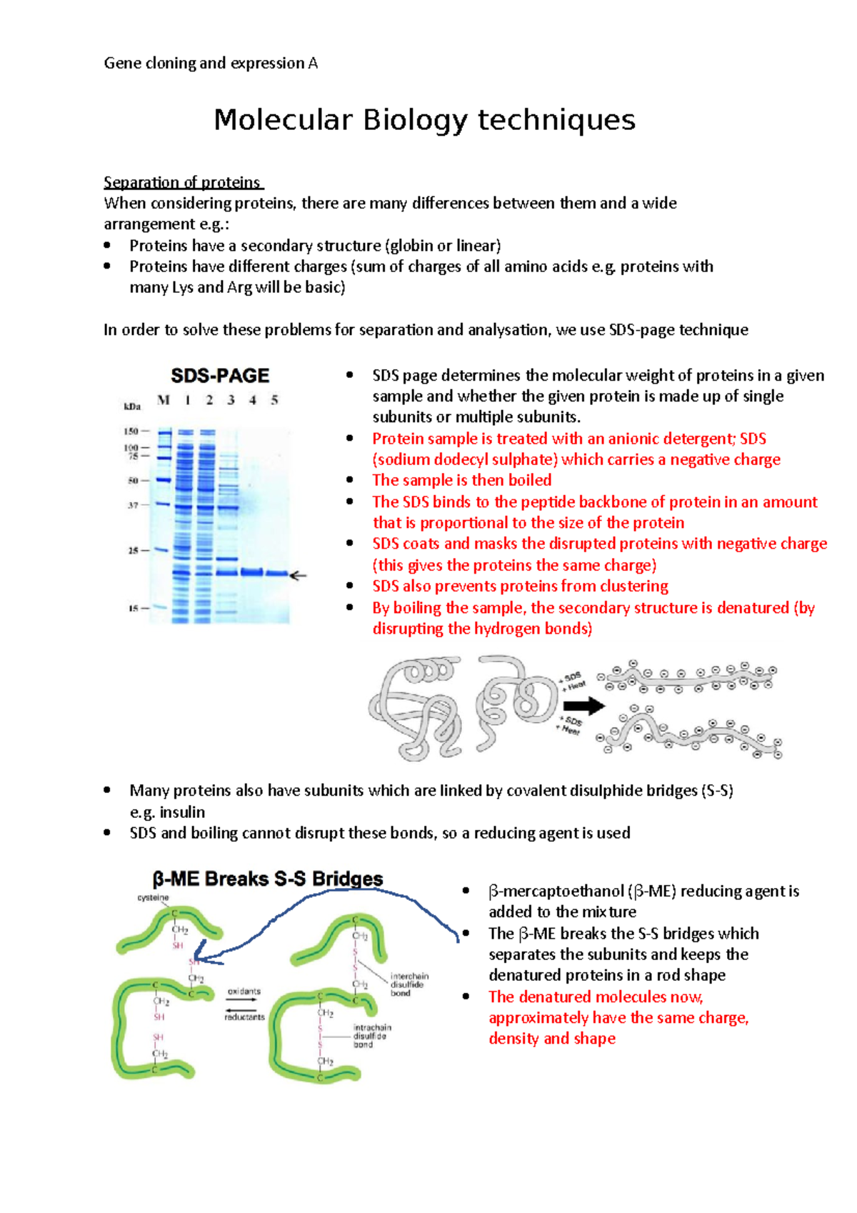 Molecular Biology techniques - Molecular Biology techniques Separation ...