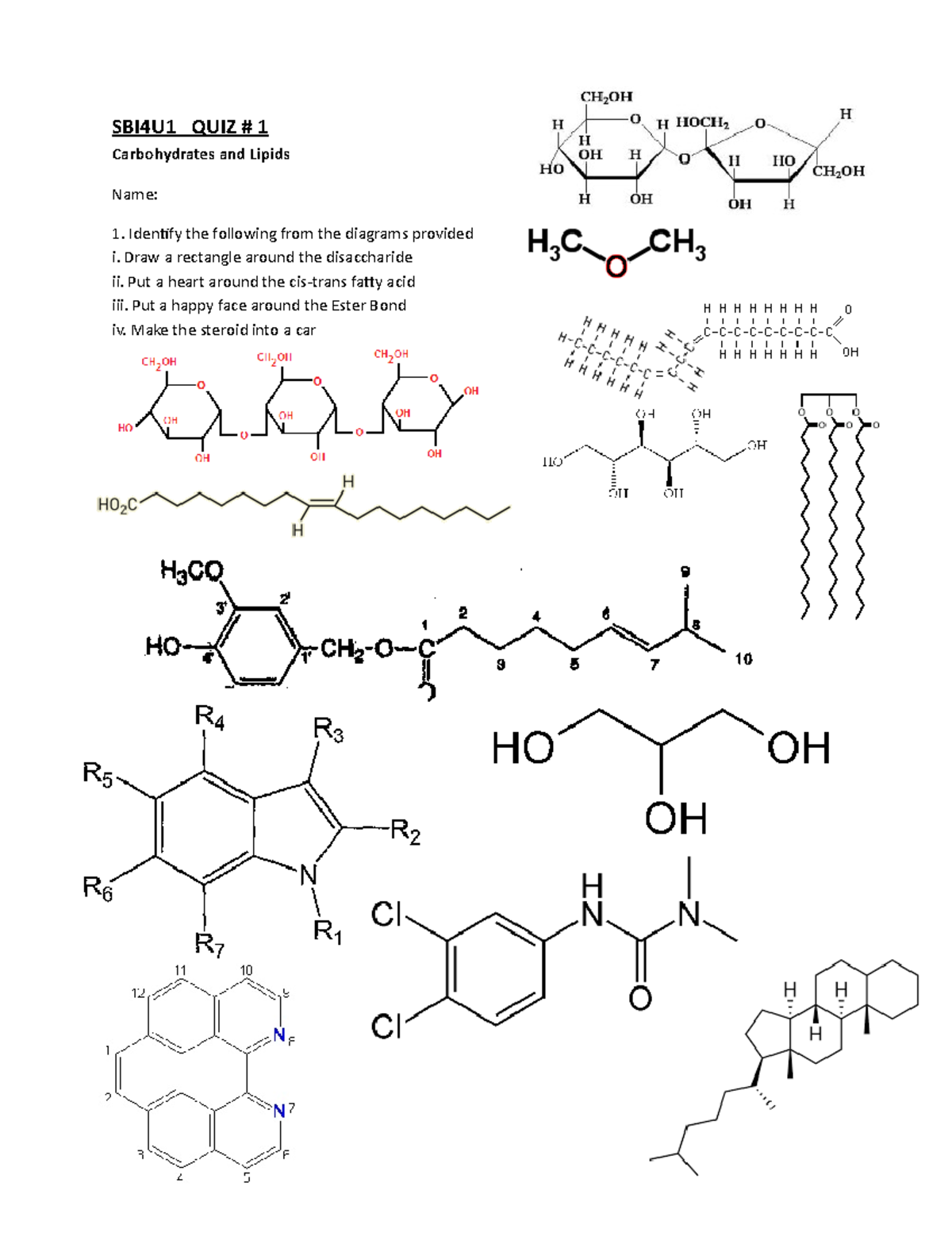 Carbs And Lipids 2015 Notes SBI4U1 QUIZ 1 Carbohydrates And