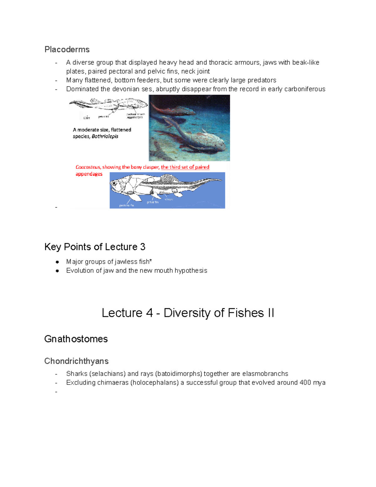 ZOO 2090 Lec 4 Vertebrae Structure and Function Notes - Google Docs ...