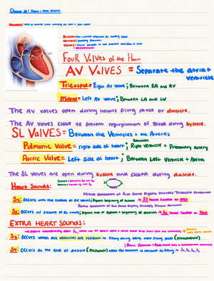 03 lab heart assignment - E X E R C I S E 30 Anatomy of the Heart Match ...