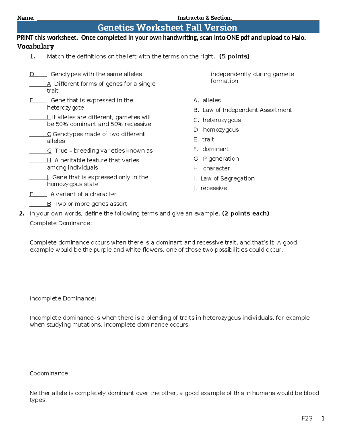 9 Genetics Punnett Square worksheet Fall version - Genetics Worksheet ...