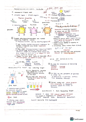 FOOD TEST LAB REPORT (CARBOHYDRATE,PROTEINS,LIPIDS AND VITAMIN C ...