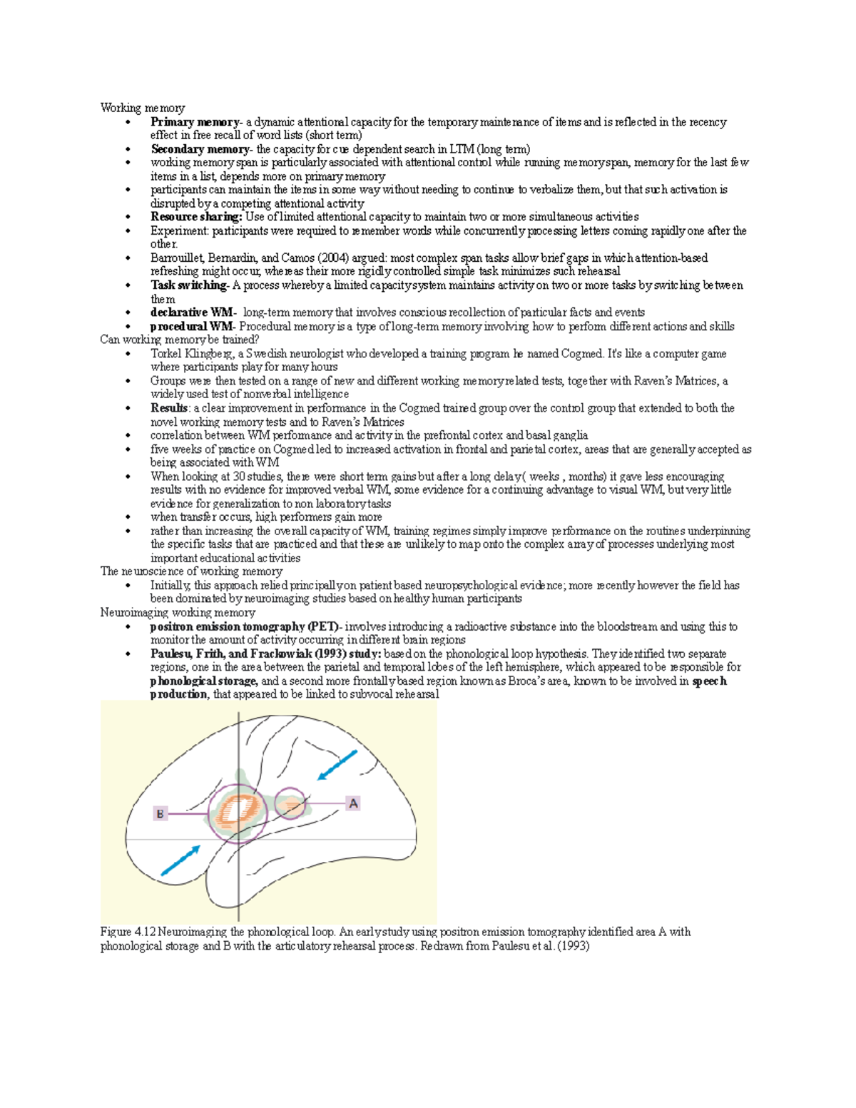 Working Memory 3265 Notes Working Memory Primary Memory A Dynamic