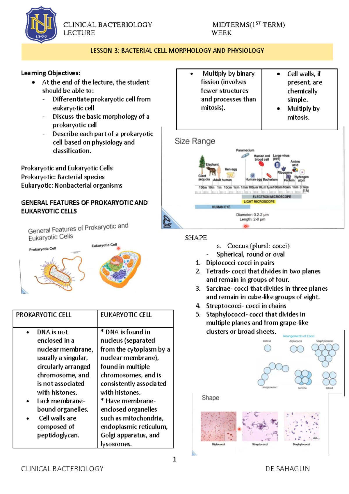 Lesson 3 Bacterial CELL Morphology AND Physiology - LECTURE WEEK 1 ...