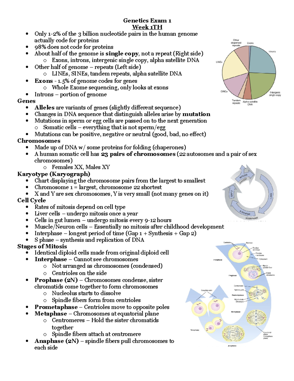 Genetics 1TH - Huwe - Genetics Exam 1 Week 1TH Only 1-2% of the 3 ...