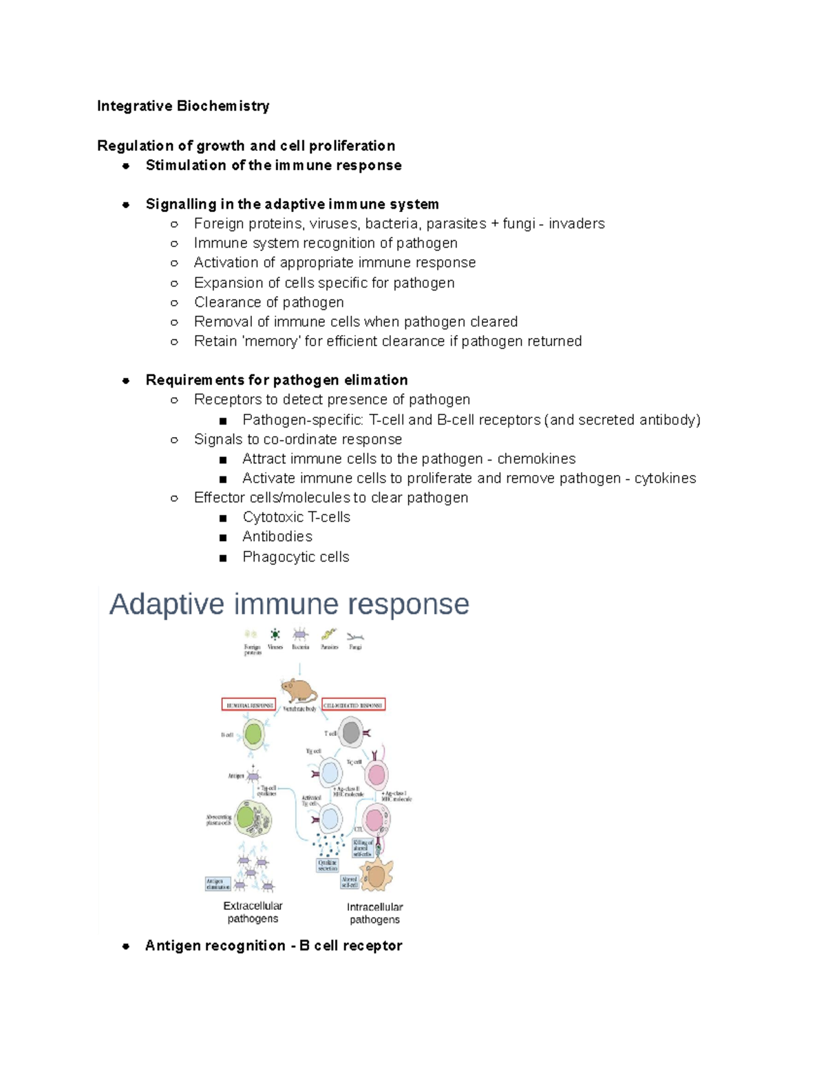 Lecture: Regulation of Growth and Cell Proliferation - Integrative ...