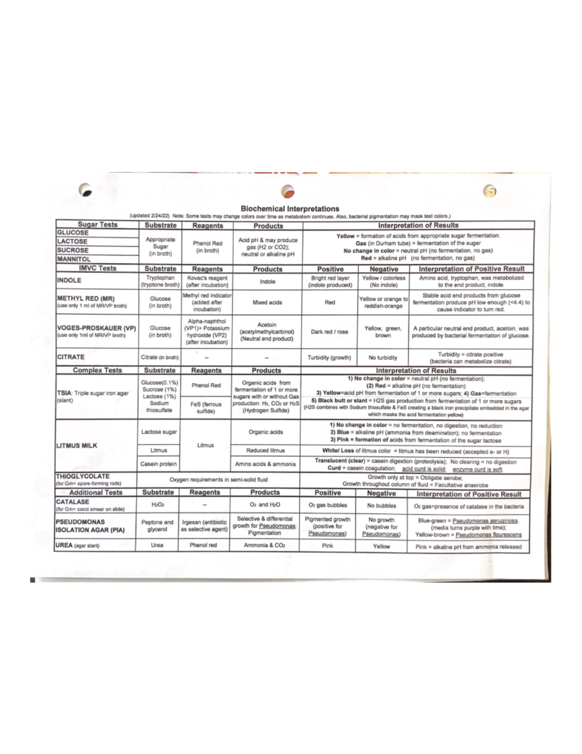 Biochemical Interpretations - CHEM 1412 - Studocu