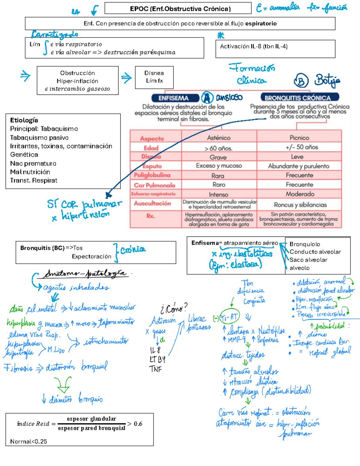 EPOC: enfisema y Bronquitis crónica-Resumen - Lím 𝜖 𝑣í𝑎 𝑟𝑒𝑠𝑝𝑖𝑟𝑎𝑡𝑜𝑟𝑖𝑜 𝜖 𝑣í𝑎 𝑎𝑙𝑣𝑒𝑜𝑙𝑎𝑟 => - Studocu