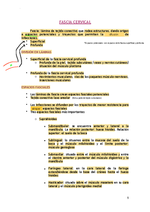 Estructura Y FuncióN DEL Cuerpo Humano - ESTRUCTURA Y FUNCIÓN DEL ...