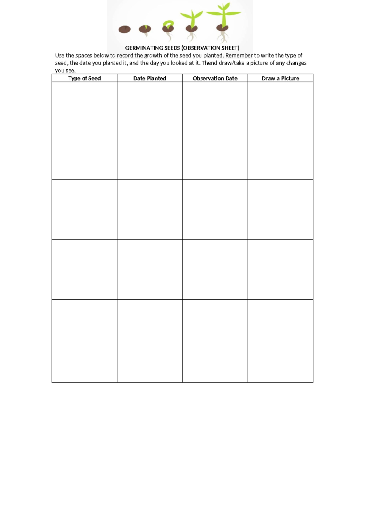 Germinating-seed - General Ecology - GERMINATING SEEDS (OBSERVATION ...