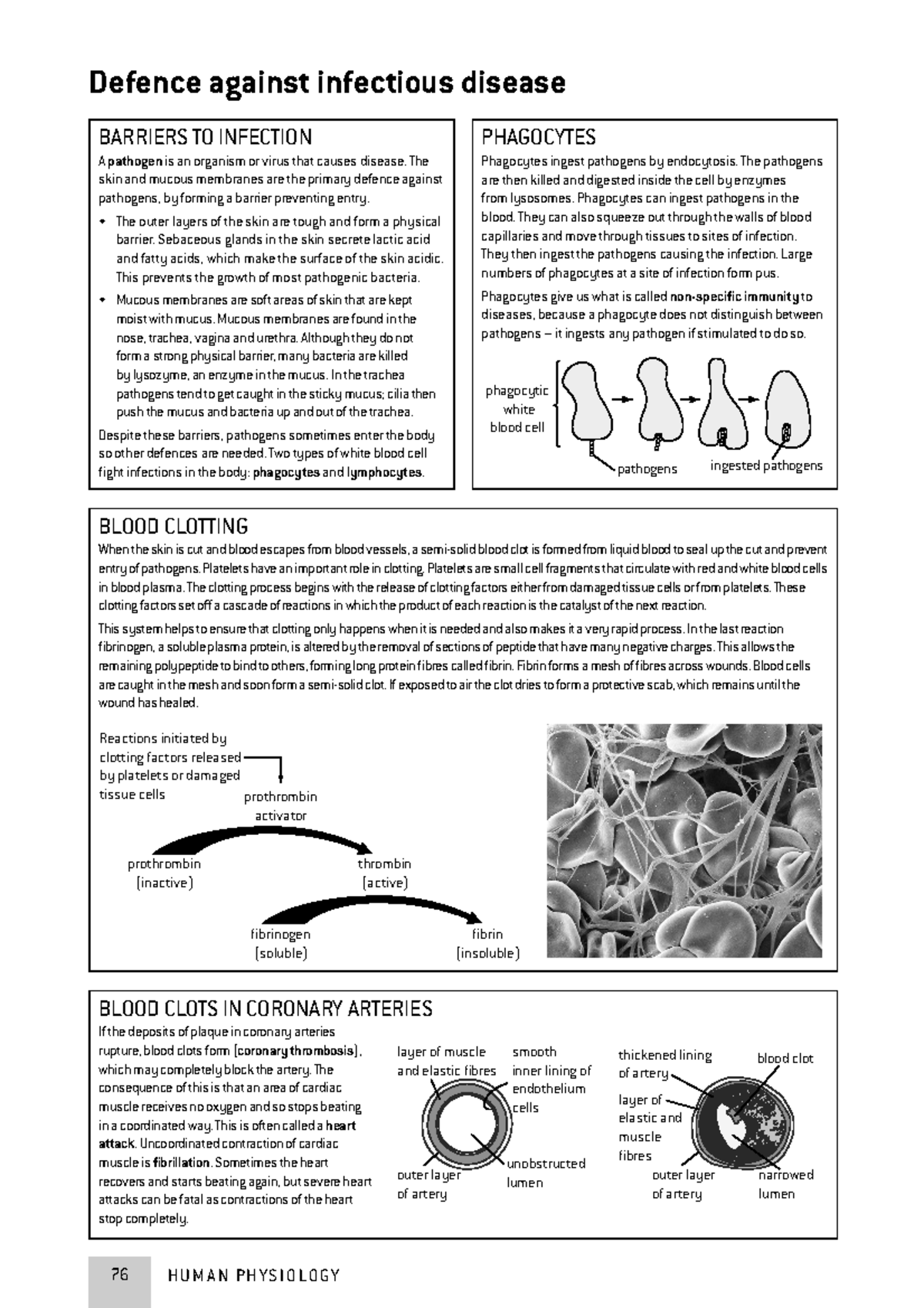 Biology study guide - 6 - De ence against in ectious disease BARRIERS ...