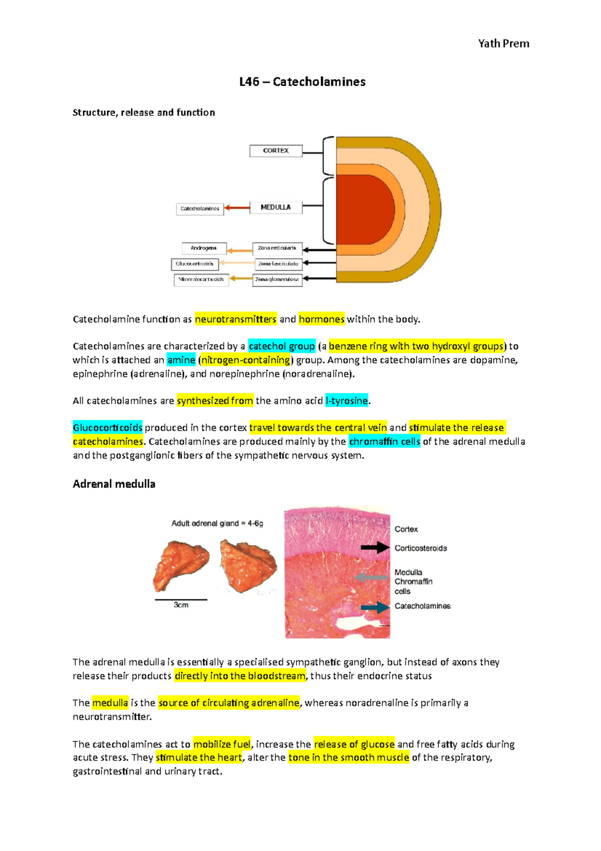 L46 Catecholamines Yath Prem L46 Catecholamines Structure Release And Function