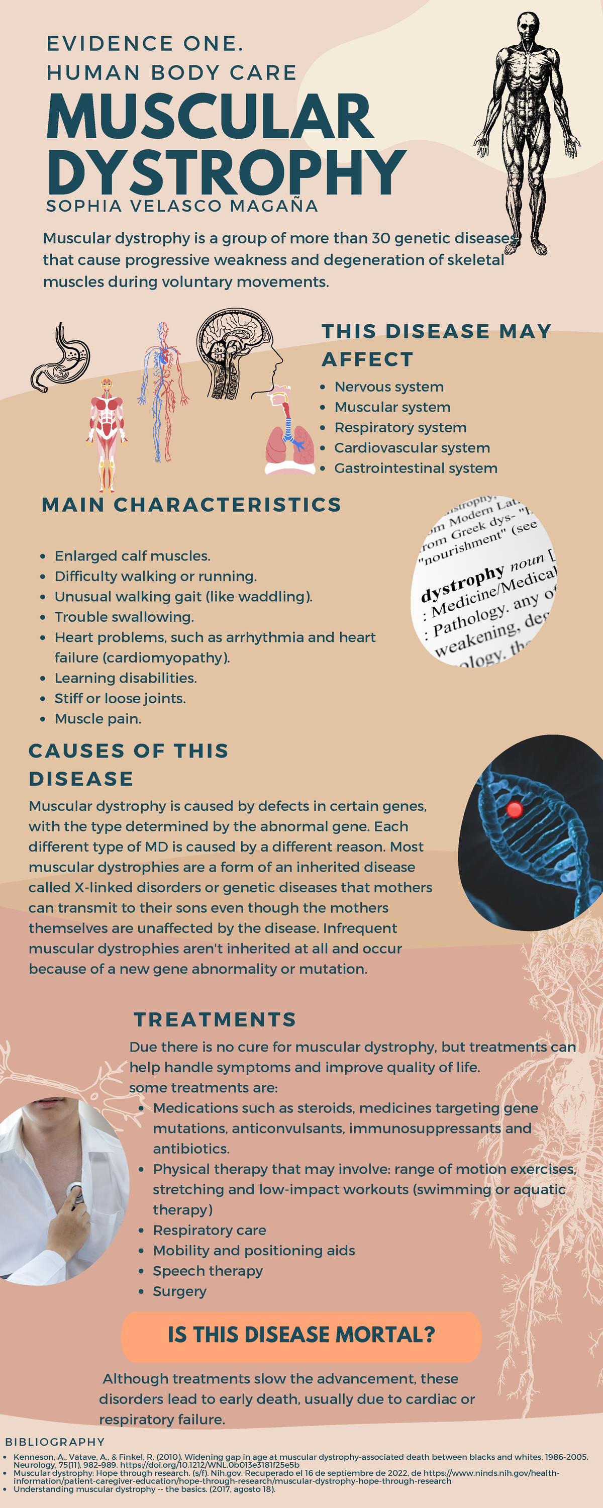 Muscular dystrophy - Nervous system Muscular system Respiratory system ...