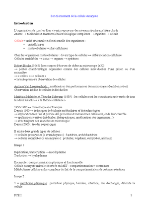 LA cellule eucaryote - Warning: TT: undefined function: 32 Warning: TT: undefined function: 32 ...