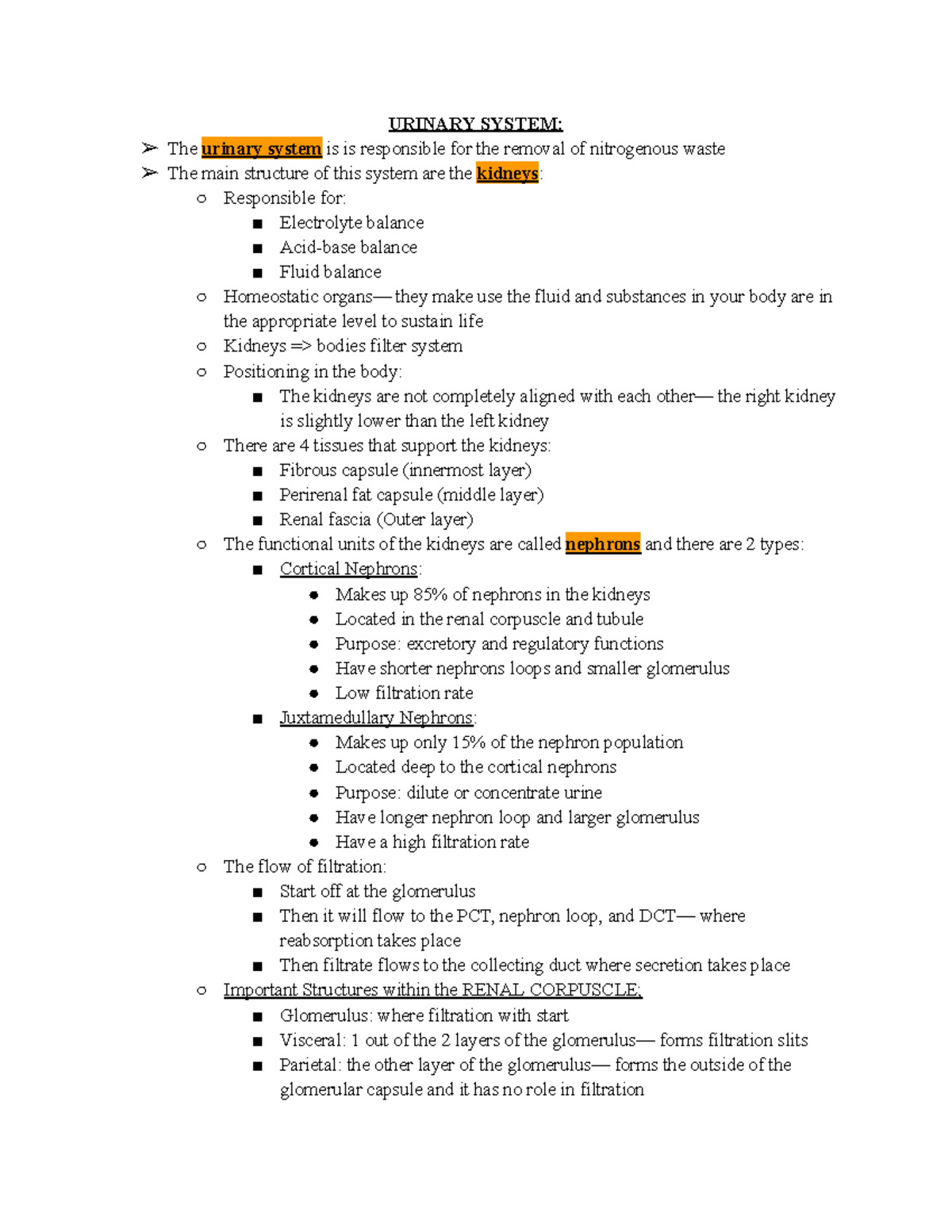 Anatomy Lab Study Guide - URINARY SYSTEM: The urinary system is is ...