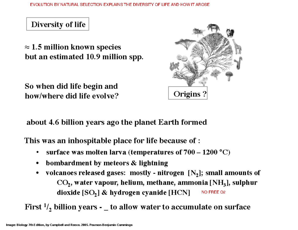 Biology 121 - Evolution by natural selection and diversity of life ...
