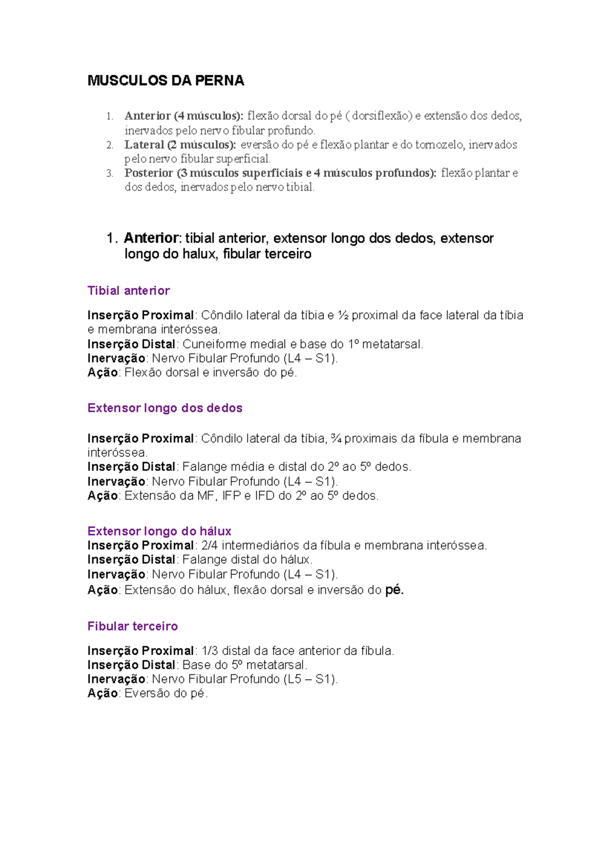 Musculos perna - jijoij - MUSCULOS DA PERNA Anterior (4 músculos ...