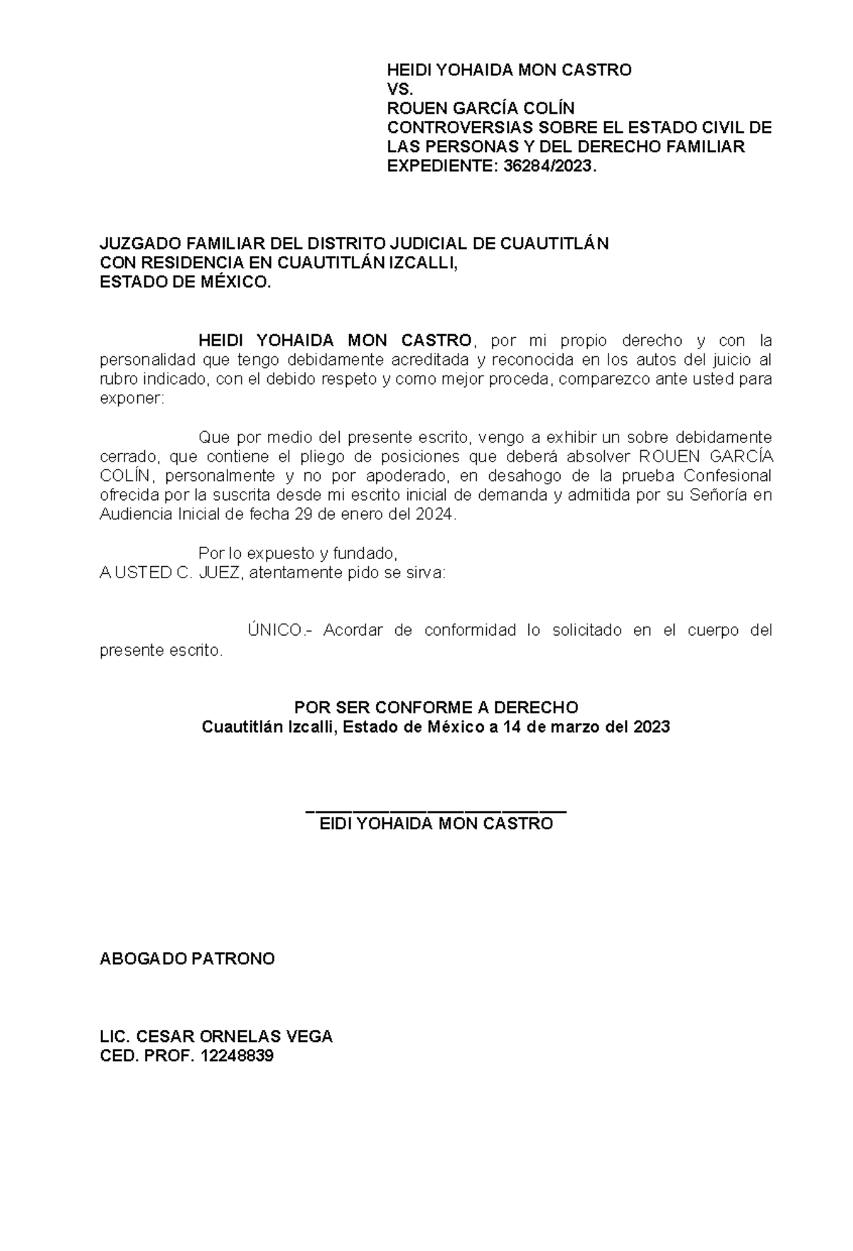Pliego DE Posiciones y Declaracion DE Parte - HEIDI YOHAIDA MON CASTRO ...