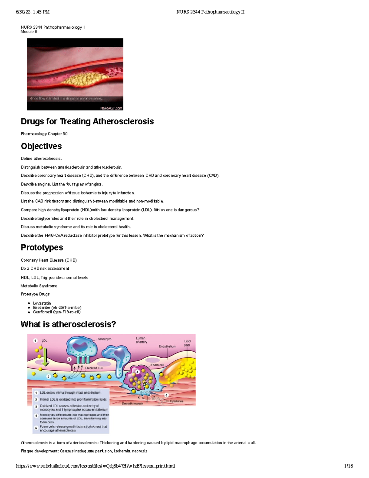 NURS 2344 Pathopharmacology II (1) - NURS 2344 Pathopharmacology II ...