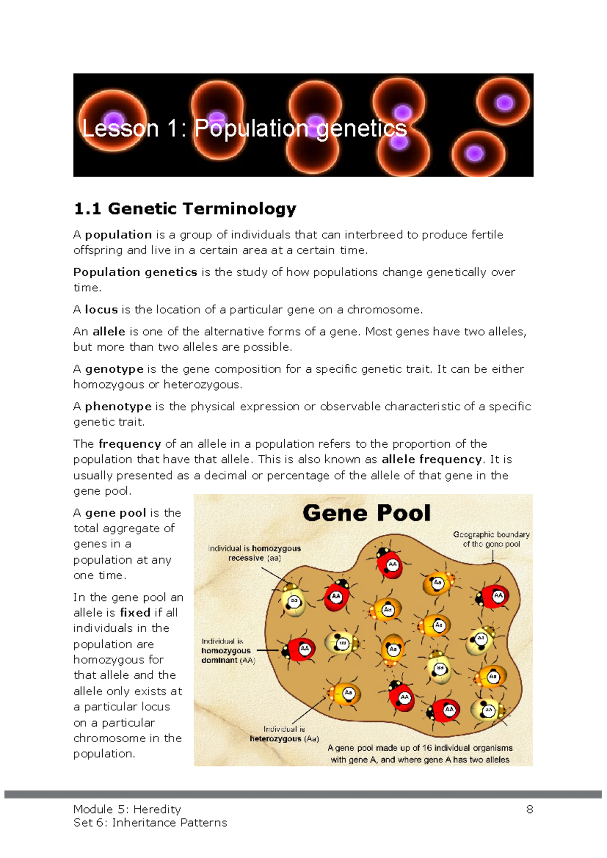 Population genetics - Module 5: Heredity 8 1 Genetic Terminology A ...
