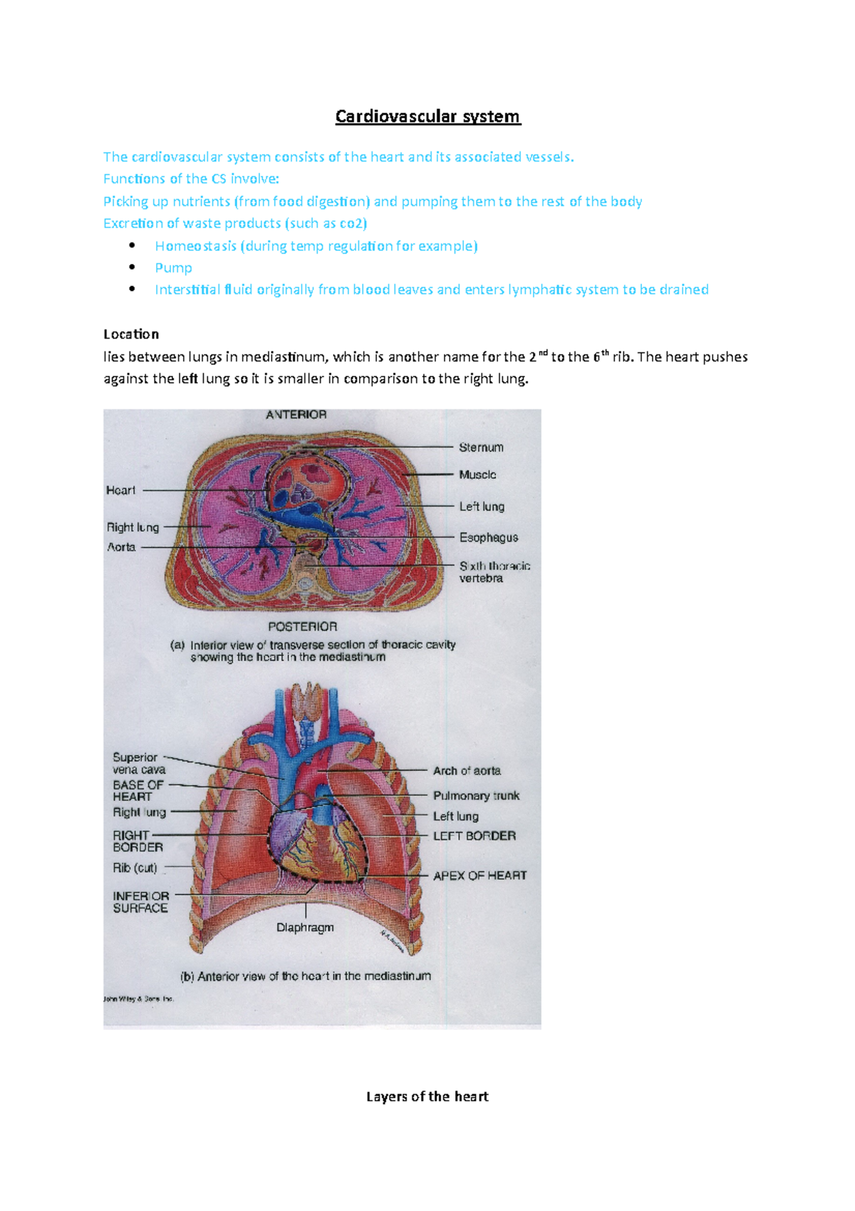 Cardiovascular system - Functions of the CS involve: Picking up ...