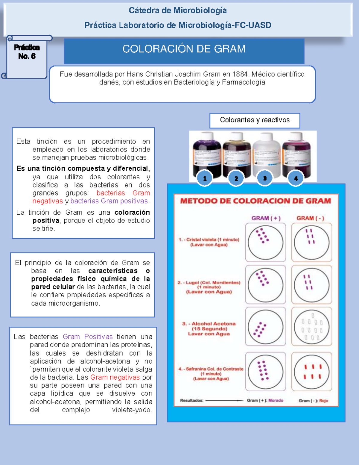 Infografia Coloracion DE GRAM - Cátedra de Microbiología Práctica ...