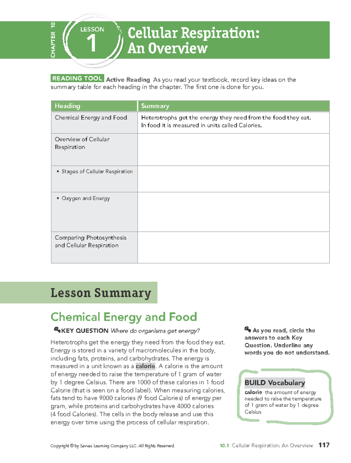 Honors Biology Homework Chapter 10 Cellular Respiration - CHAPTER 10 ...