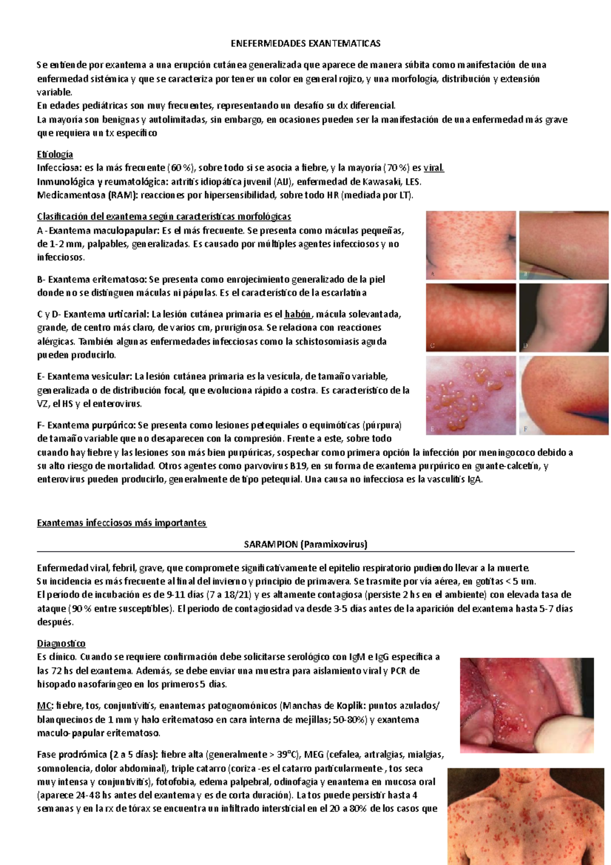 Enefermedades Exantematicas - ENEFERMEDADES EXANTEMATICAS Se entiende ...