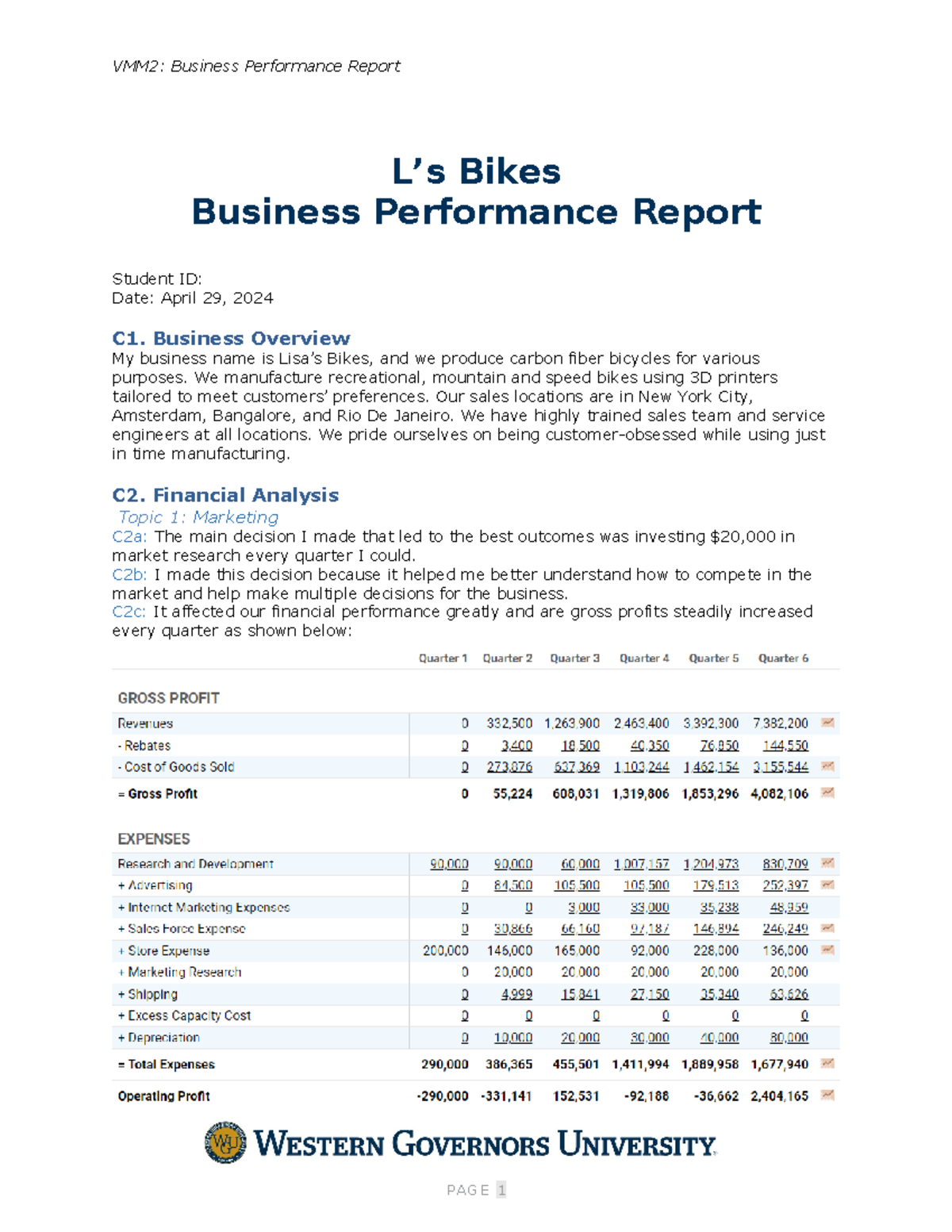Business Performance Report - VMM2: Business Performance Report L’s ...