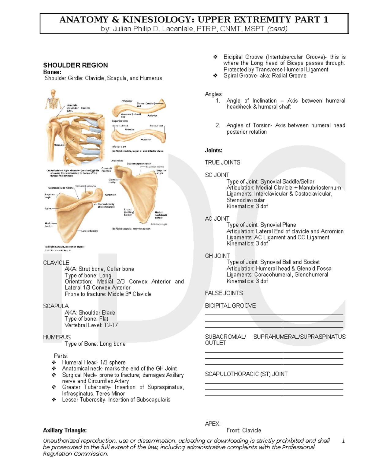 UPPER EX-Handouts - ANATOMY & KINESIOLOGY: UPPER EXTREMITY PART 1 by ...
